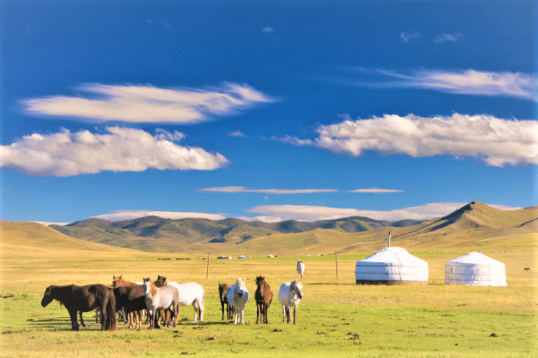 Mongolia Travel Guide - How to Plan A Trip to Mongolia