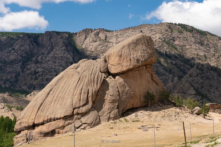 Gobi Exploration - 11 Days - Go Mongolia Tours