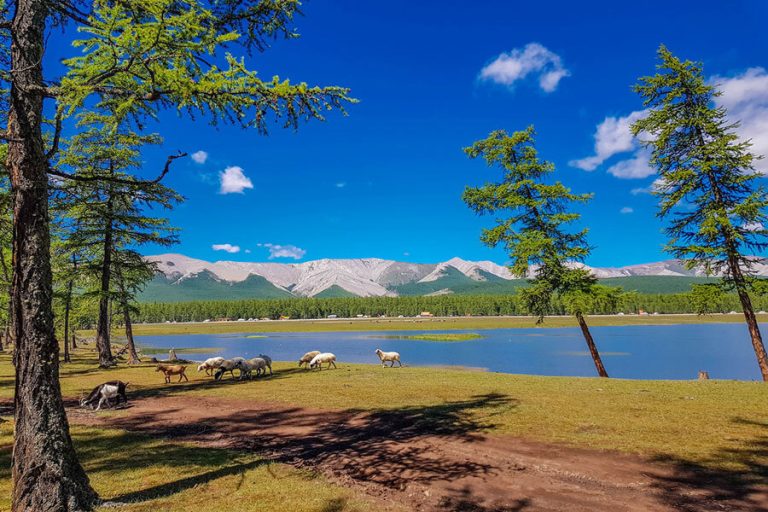North & Central 4WD Tour - 15 Days - Go Mongolia Tours