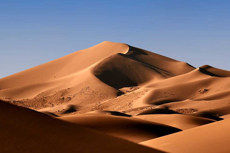 Gobi Exploration - 11 Days - Go Mongolia Tours