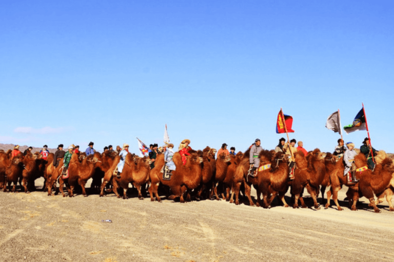 Time the Thousand Camel Festival in Mongolia occurred - Go Mongolia Tours