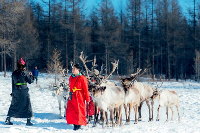 Mongolia Reindeer Tribe Tour - 9 Days - Mongolia Tours