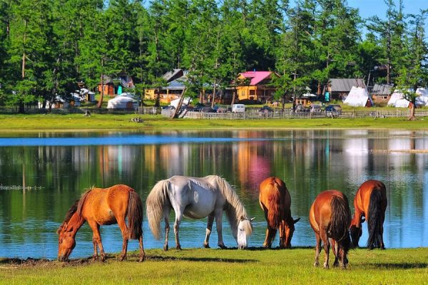 Khuvsgul Lake | One Of The Most Magnificent Lakes In The World - Go ...